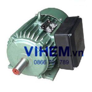 Công ty cổ phần chế tạo máy điện Việt Nam Hungari VIHEM HEM